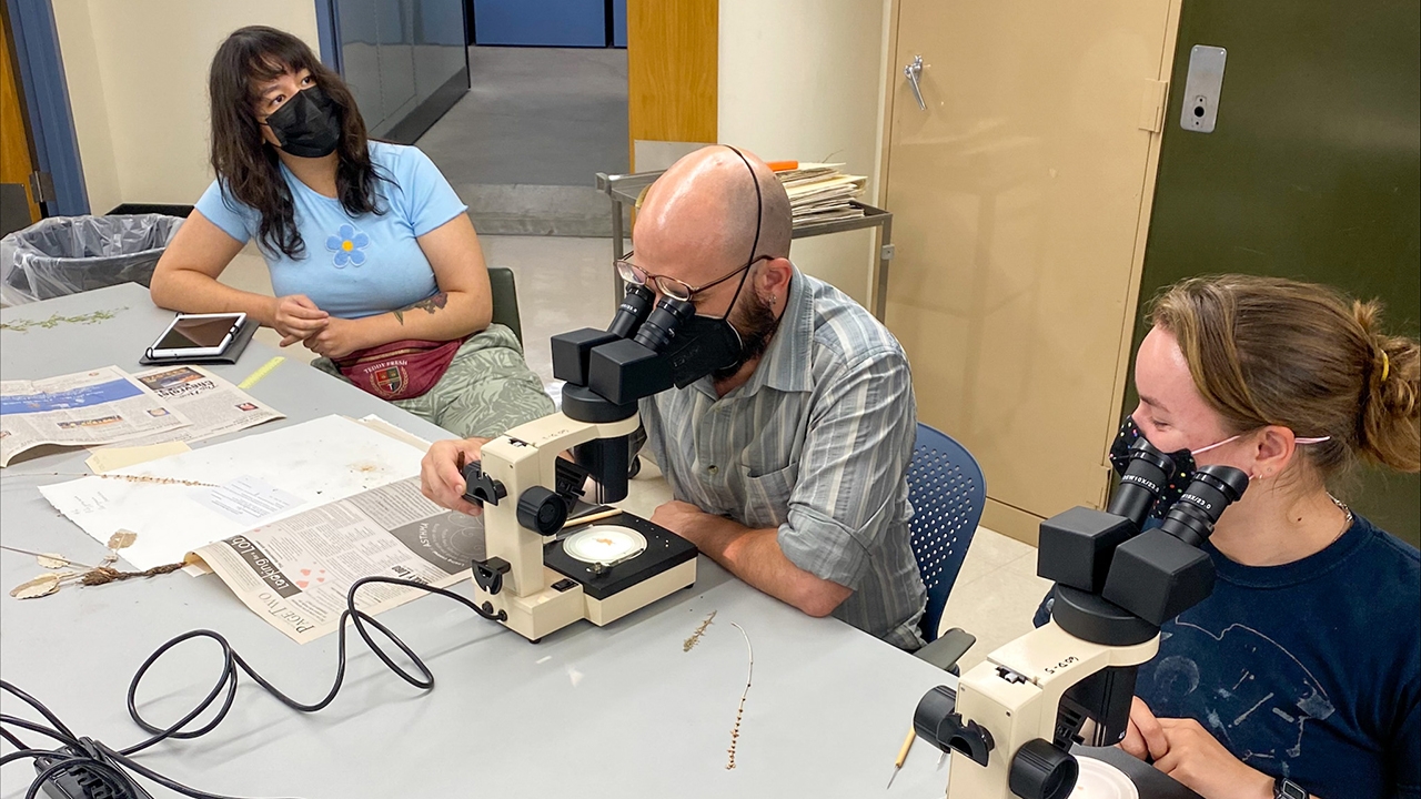 UNM Herbarium in Museum of Southwestern Biology hosts Plant ...