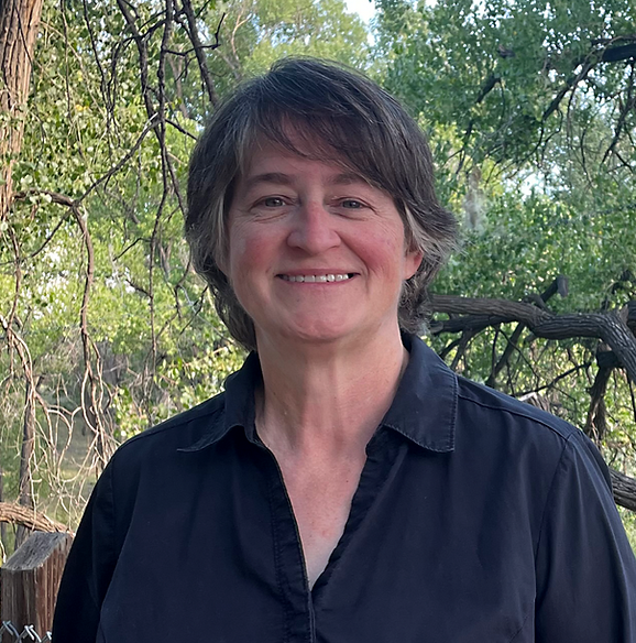 New book by UNM film lecturer examines the TV career of First Lady ...