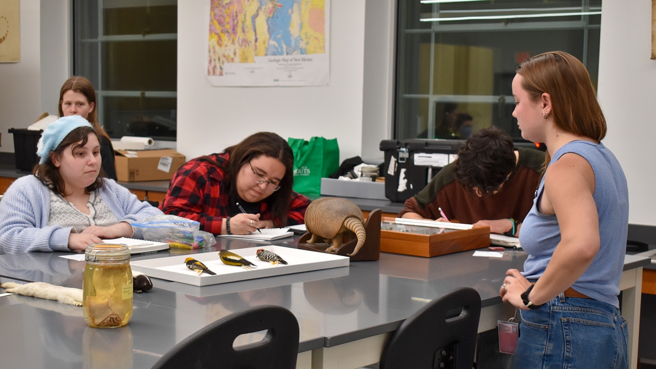 UNM Museum of Southwestern Biology hosts popular Studio Night | UNM ...