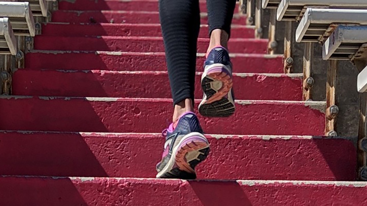 6th Annual Stadium Stair Challenge to Benefit Agora Crisis Center: UNM ...