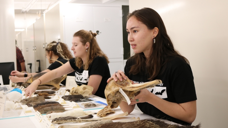 Museum of Southwestern Biology hosts evolution-themed events: UNM Newsroom