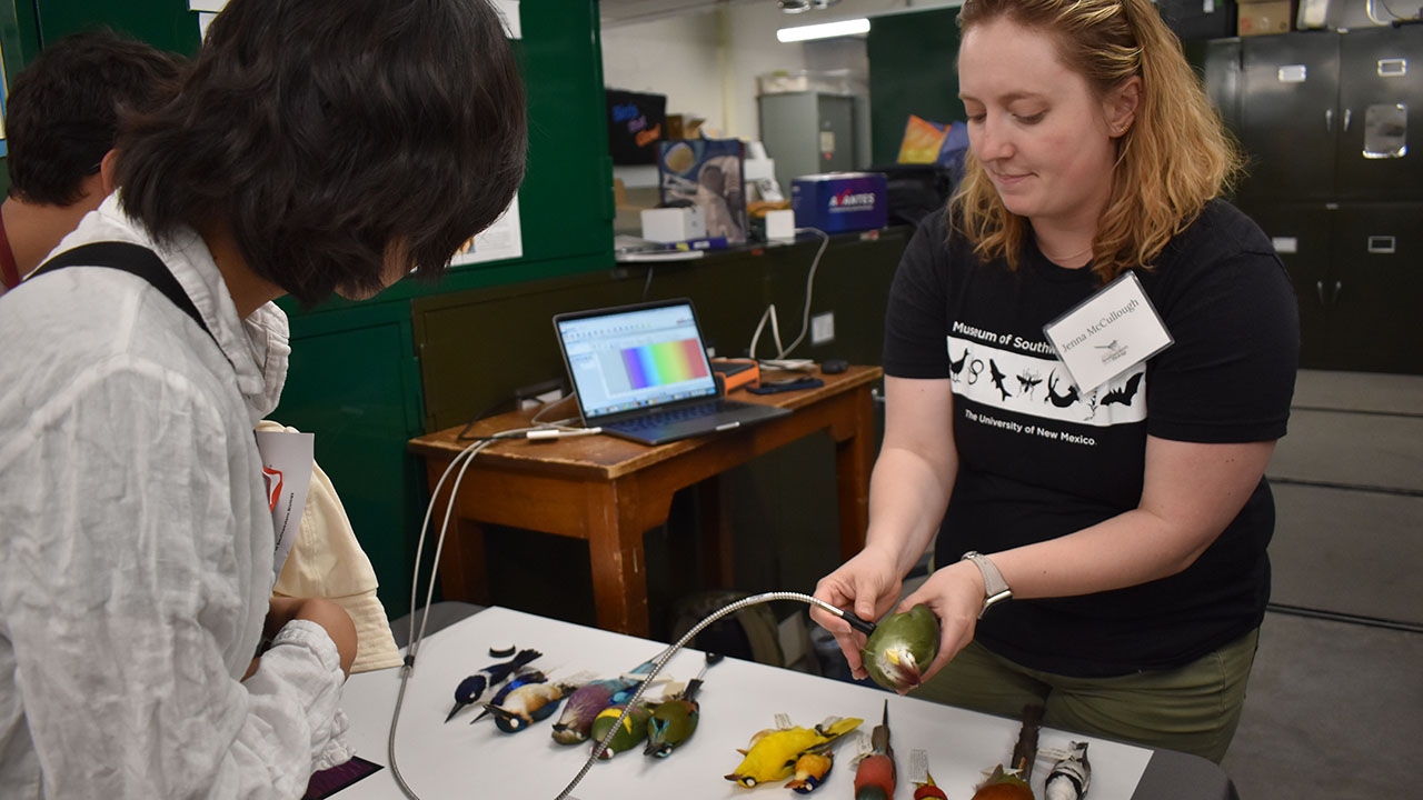Museum of Southwestern Biology provides up close look at collections ...