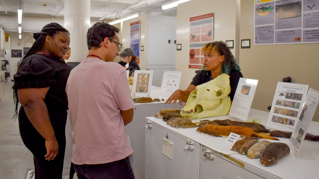 Museum of Southwestern Biology provides up close look at collections ...