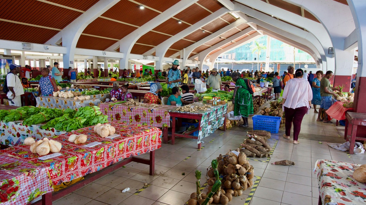 Vanuatu experience introduces UNM undergrads to research | UNM UCAM ...