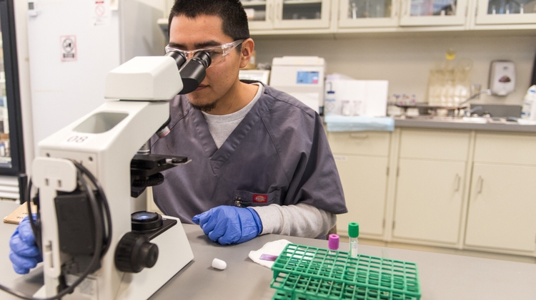 U-RISE supports student biomedical research: UNM Newsroom