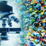 Inspiring Graduate | Mackenzie Sydow: UNM UCAM Newsroom