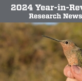 Inspiring Graduate | Mackenzie Sydow: UNM UCAM Newsroom