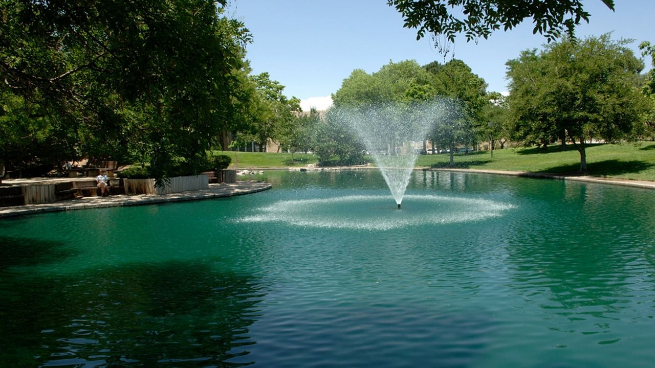 UNM Duck Pond a favorite place to meet, study, relax | UNM UCAM Newsroom