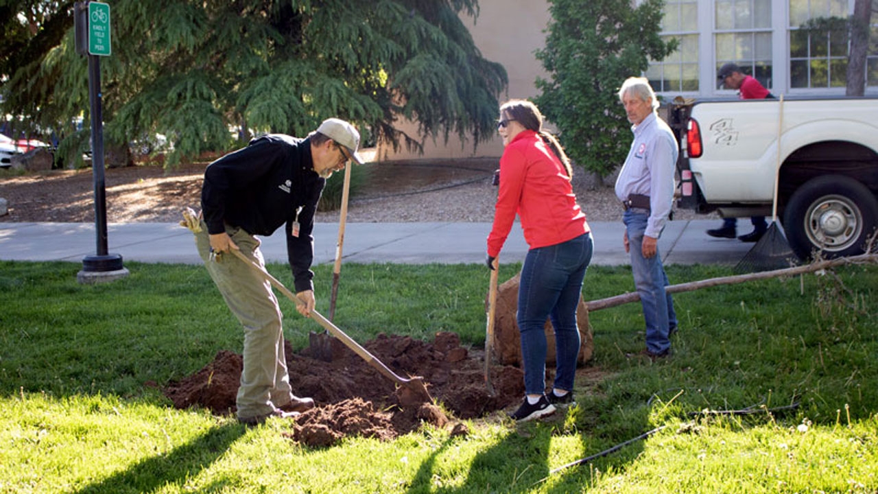 Embracing cross-collaborative volunteerism: A successful staff Campus ...