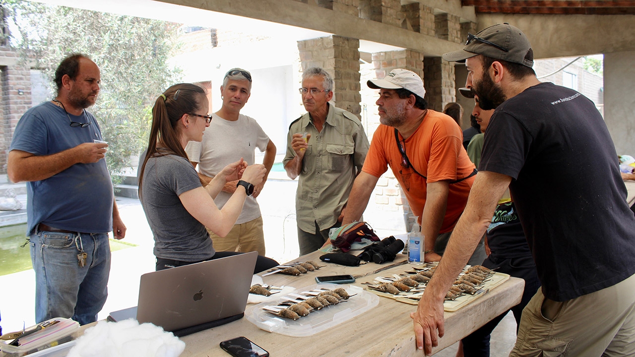 How miniature backpacks led to the discovery of the world’s largest ...