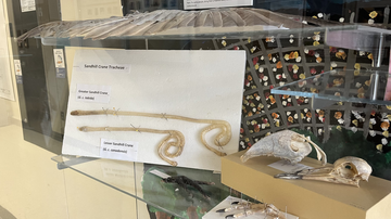 New display shows local eighth graders work about Museum of ...