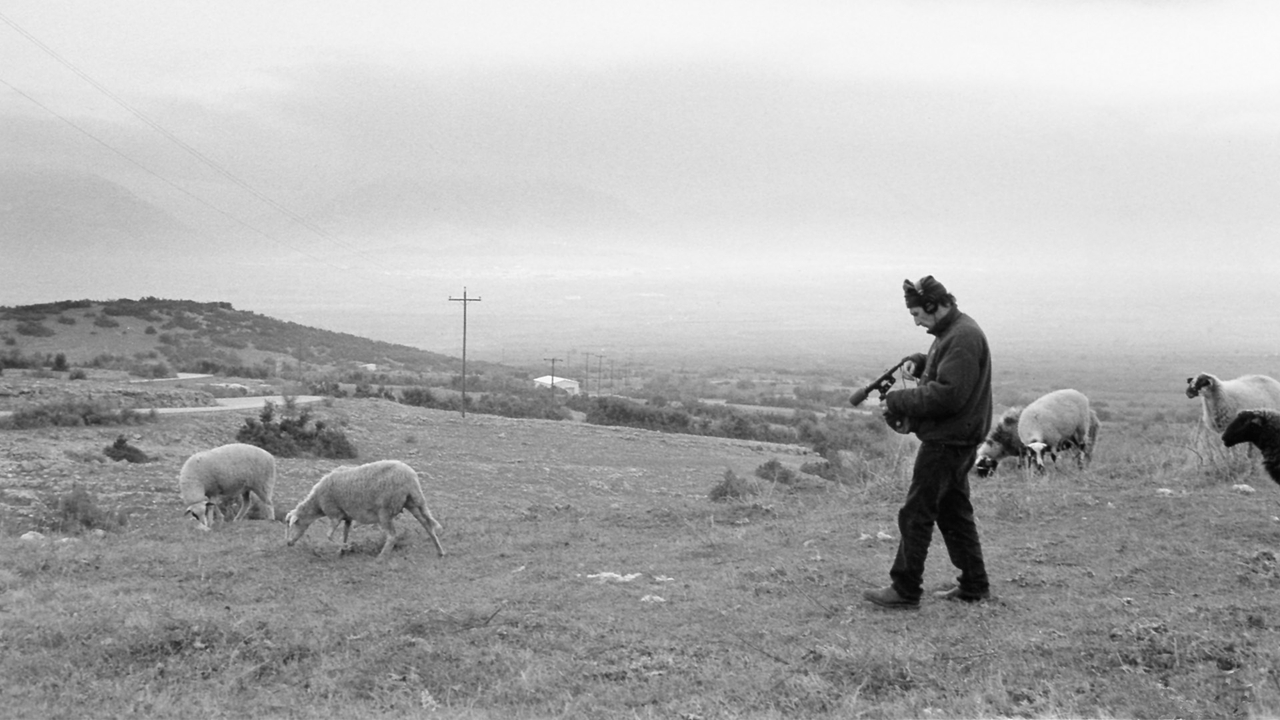 Professor Emeritus of Anthropology Steven Feld among 86 new Fellows ...