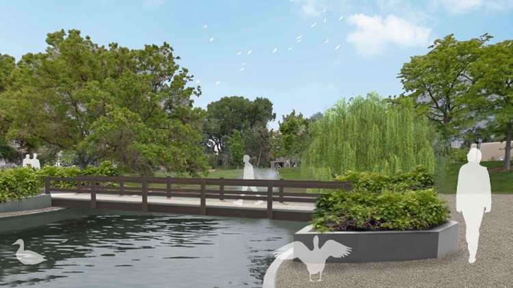 Lobo champions UNM's Duck Pond wildlife relocation: UNM UCAM Newsroom