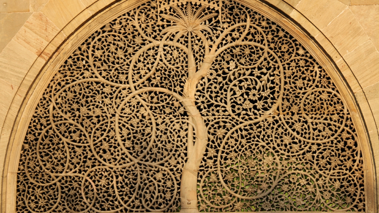 Seeing trees through fractals: new research explores how we perceive ...