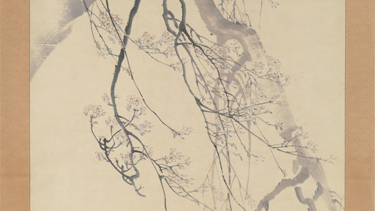 Seeing trees through fractals: new research explores how we perceive ...