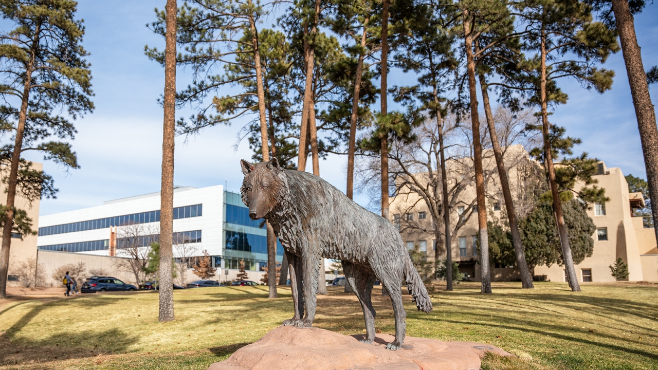 Two UNM engineers receive NSF Graduate Research Fellowships | UNM UCAM ...