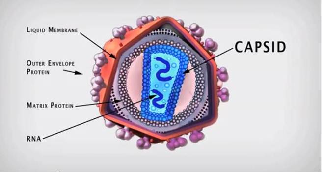 Breakthrough in HIV Research Enabled by NVIDIA GPU Accelerators ...