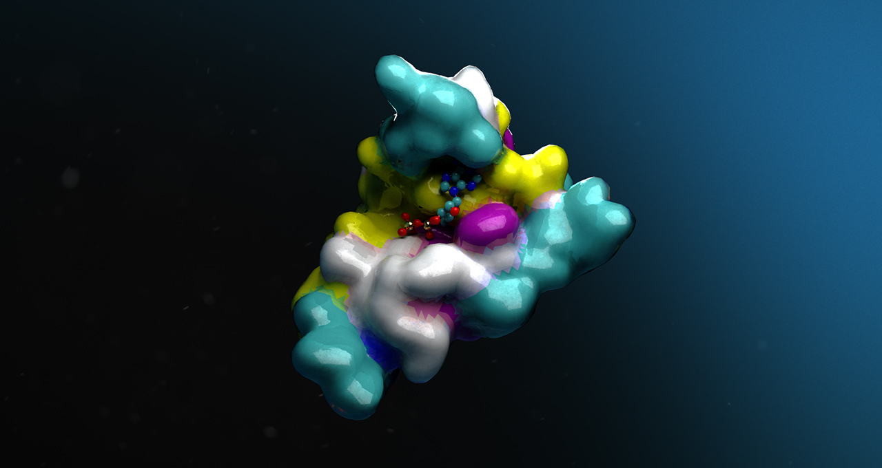 NVIDIA Unveils Large Language Models and Generative AI Service to ...