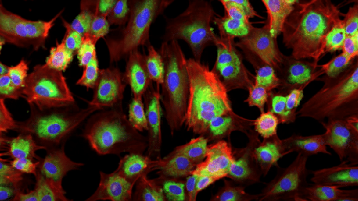 Latest News | NVIDIA Newsroom