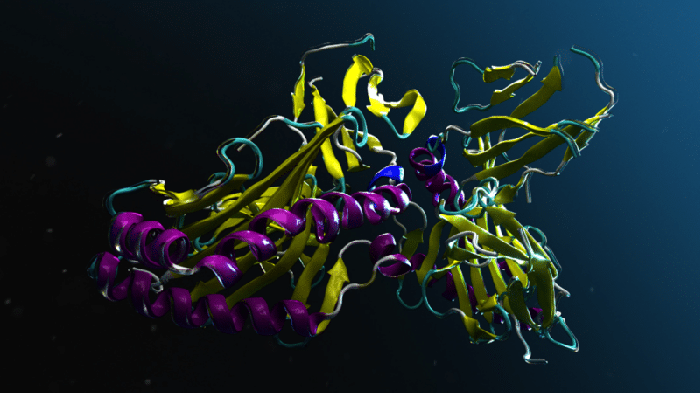 Latest News | NVIDIA Newsroom