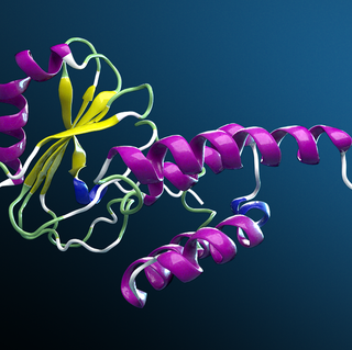 NVIDIA Opens BioNeMo to Scale Digital Biology for Global Biopharma and ...