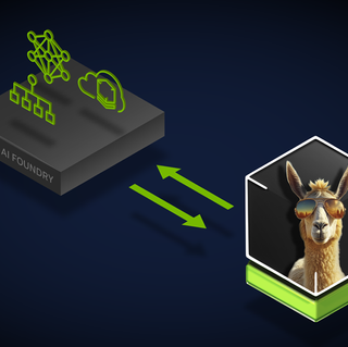 NVIDIA AI Foundry Builds Custom Llama 3.1 Generative AI Models for the World’s Enterprises ...