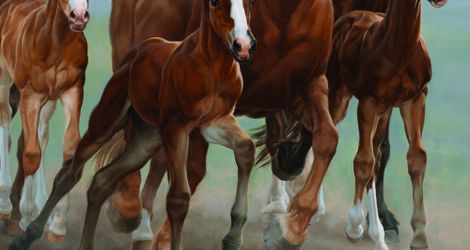 2016 Calgary Stampede poster artwork pays homage to Stampede Ranch’s ...