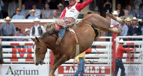 Steven Peebles wins big on first ride since breaking his back | Calgary ...