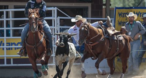 The rich get richer on day seven of the Calgary Stampede Rodeo ...