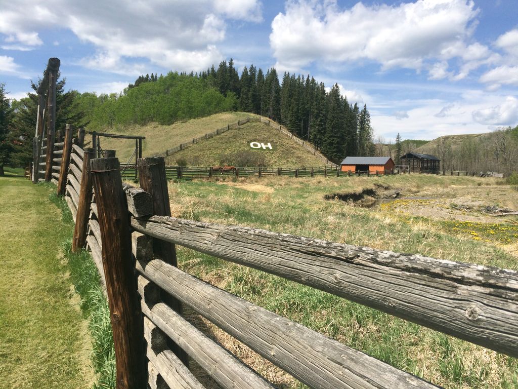 PSA - Historic OH Ranch opens to the public for Alberta Open Farm Days ...