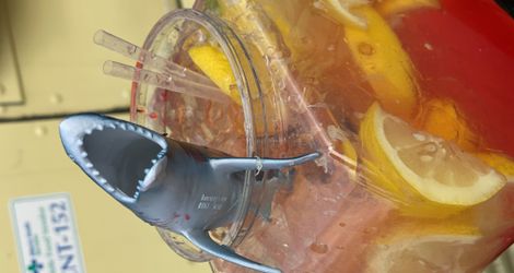 Feed Your Appetite for Fun! Introducing the Flavorful New Foods of ...