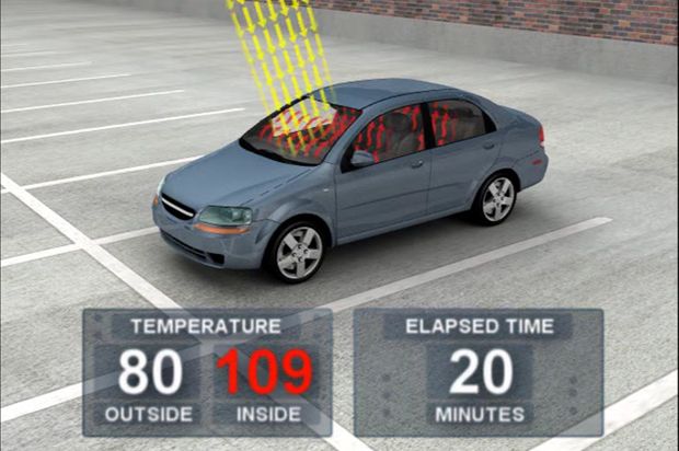 Children and Pets in Vehicles at Risk During Extreme Heat | AAA East ...