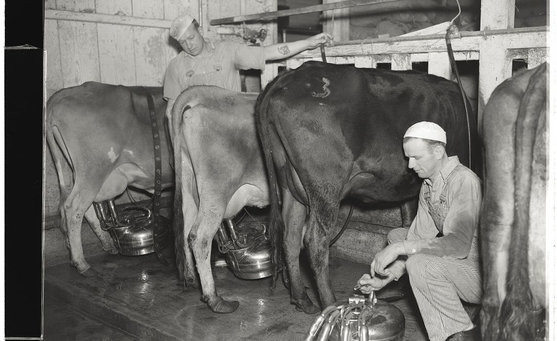 Electric Inventions Make Farm Life Easier | Energized by Edison