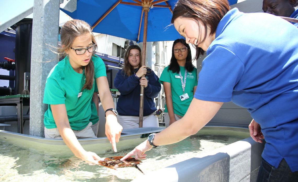 Edison Support Boosts Education Programs at the Aquarium of the Pacific ...
