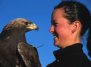 California Condor Recovery Program Spreads Its Wings | Energized by Edison