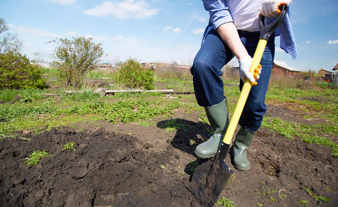 April is National Safe Digging Month | Energized by Edison