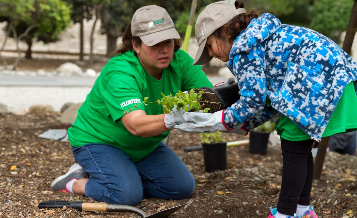 Volunteers Help Improve Green Space, Clean Air in Arcadia | Energized ...
