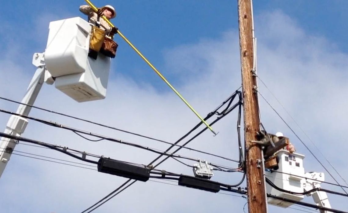 SCE Crews Rescue ‘Marooned Raccoon’ From Power Pole | Energized by Edison