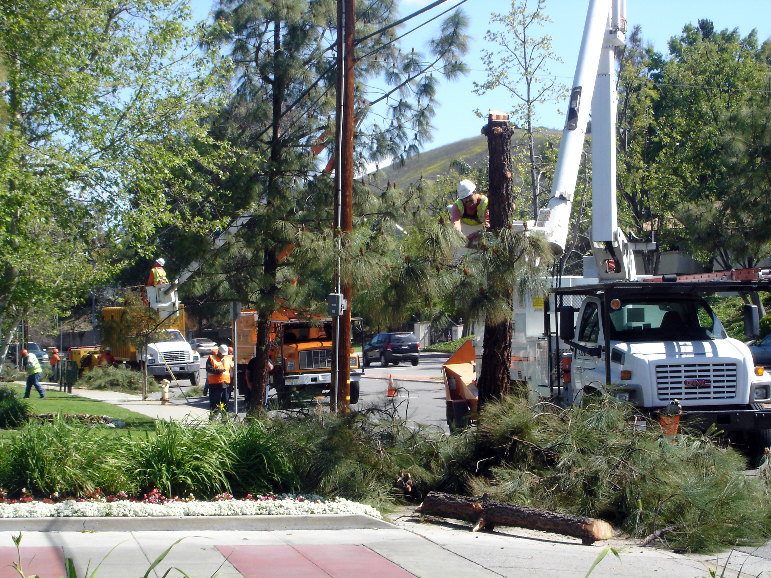SCE Wildfire Safety | Energized by Edison