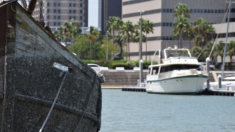 Gallery | City of Corpus Christi