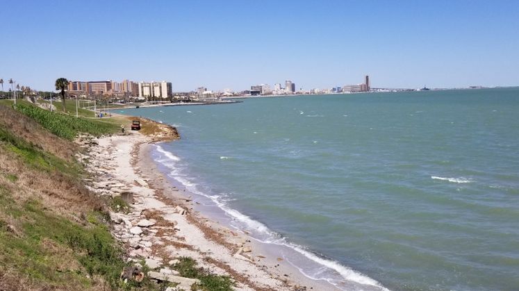 Gallery | City of Corpus Christi