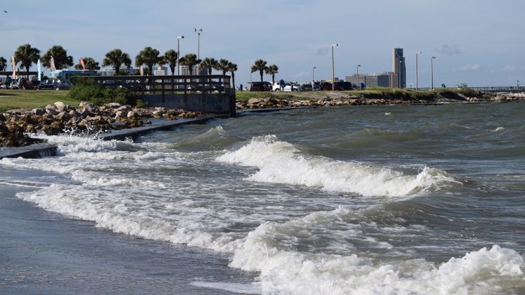 Gallery | City of Corpus Christi