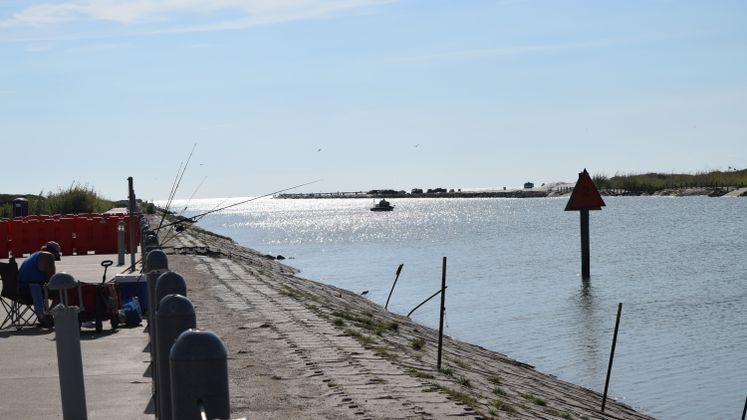 Gallery | City of Corpus Christi