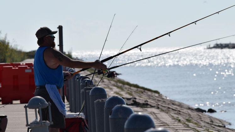 Gallery | City of Corpus Christi