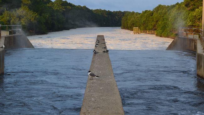 Brunswick Nuclear Plant | Duke Energy | News Center