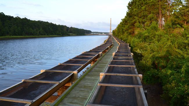 Brunswick Nuclear Plant | Duke Energy | News Center