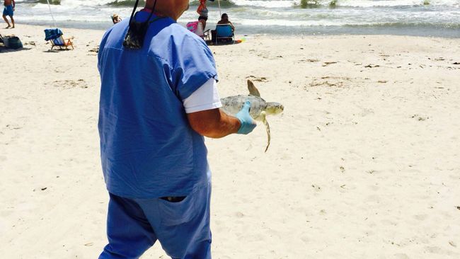 Brunswick Nuclear Plant | Duke Energy | News Center