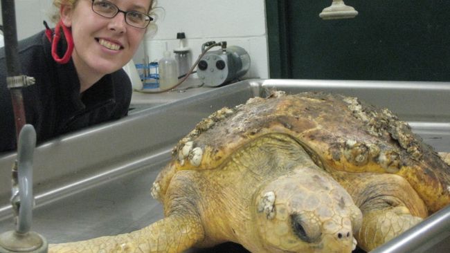 Brunswick Nuclear Plant | Duke Energy | News Center