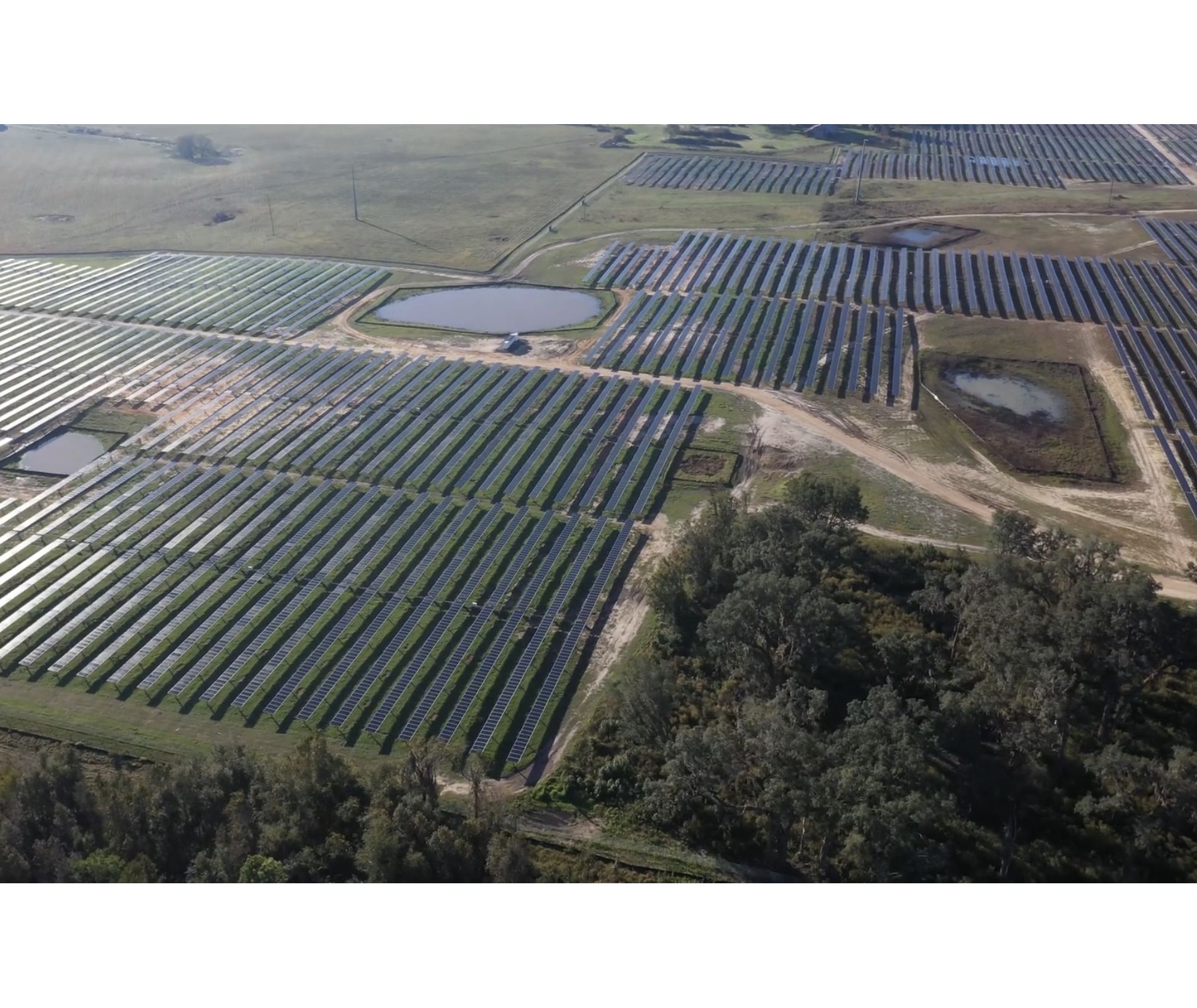 Duke Energy Florida announces 2 new solar power plants, 2 others ...