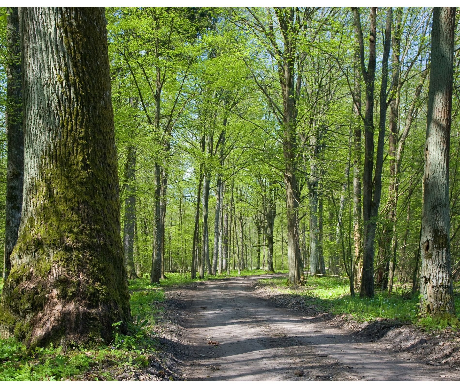 Duke Energy Foundation awards $150,000 to Indiana Natural Resources Foundation for new features ...